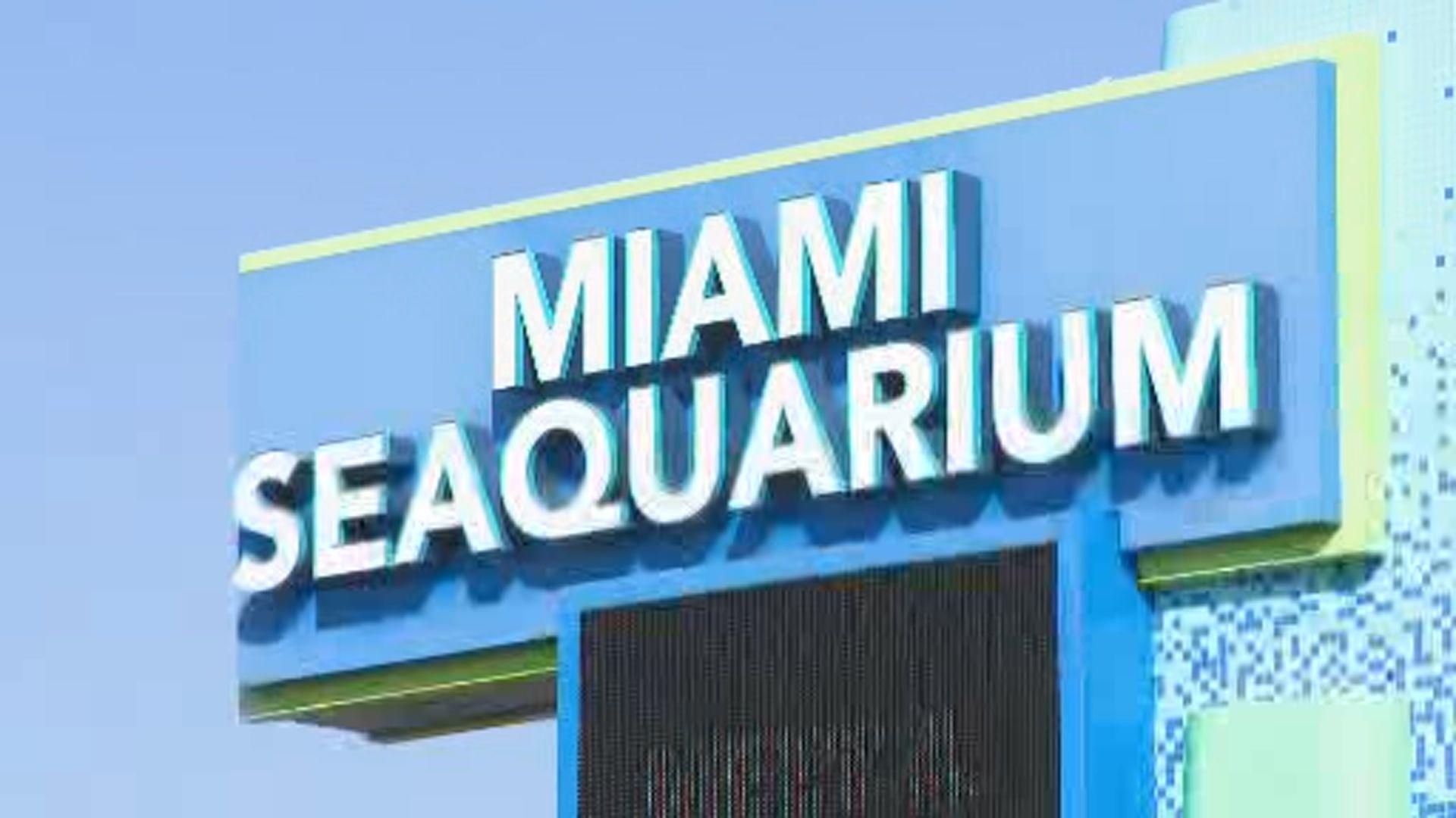 Miami's first Cuban-born Mayor Xavier Suarez plans 2025 run - CBS Miami