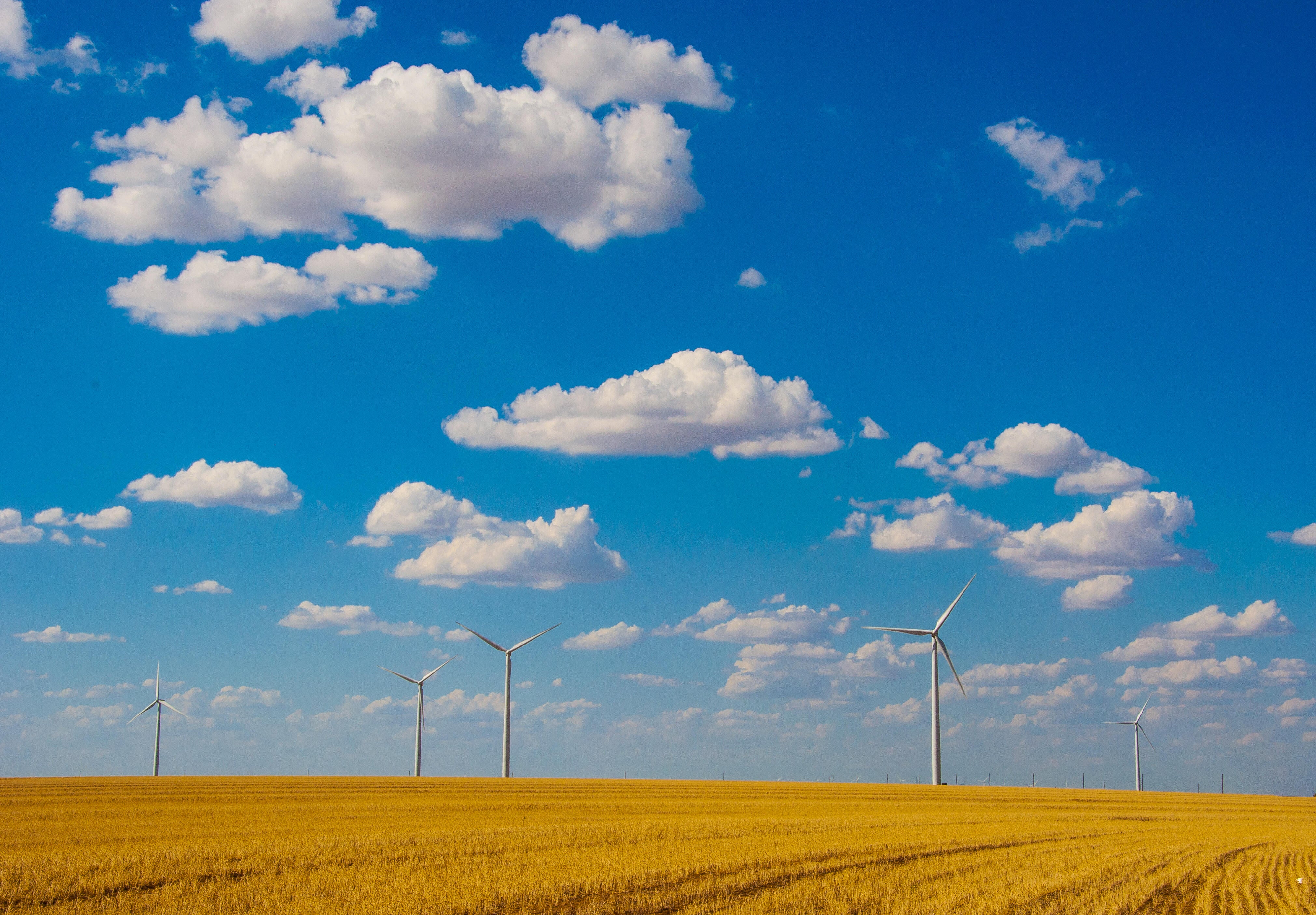 Shawna Thomas - CBS News