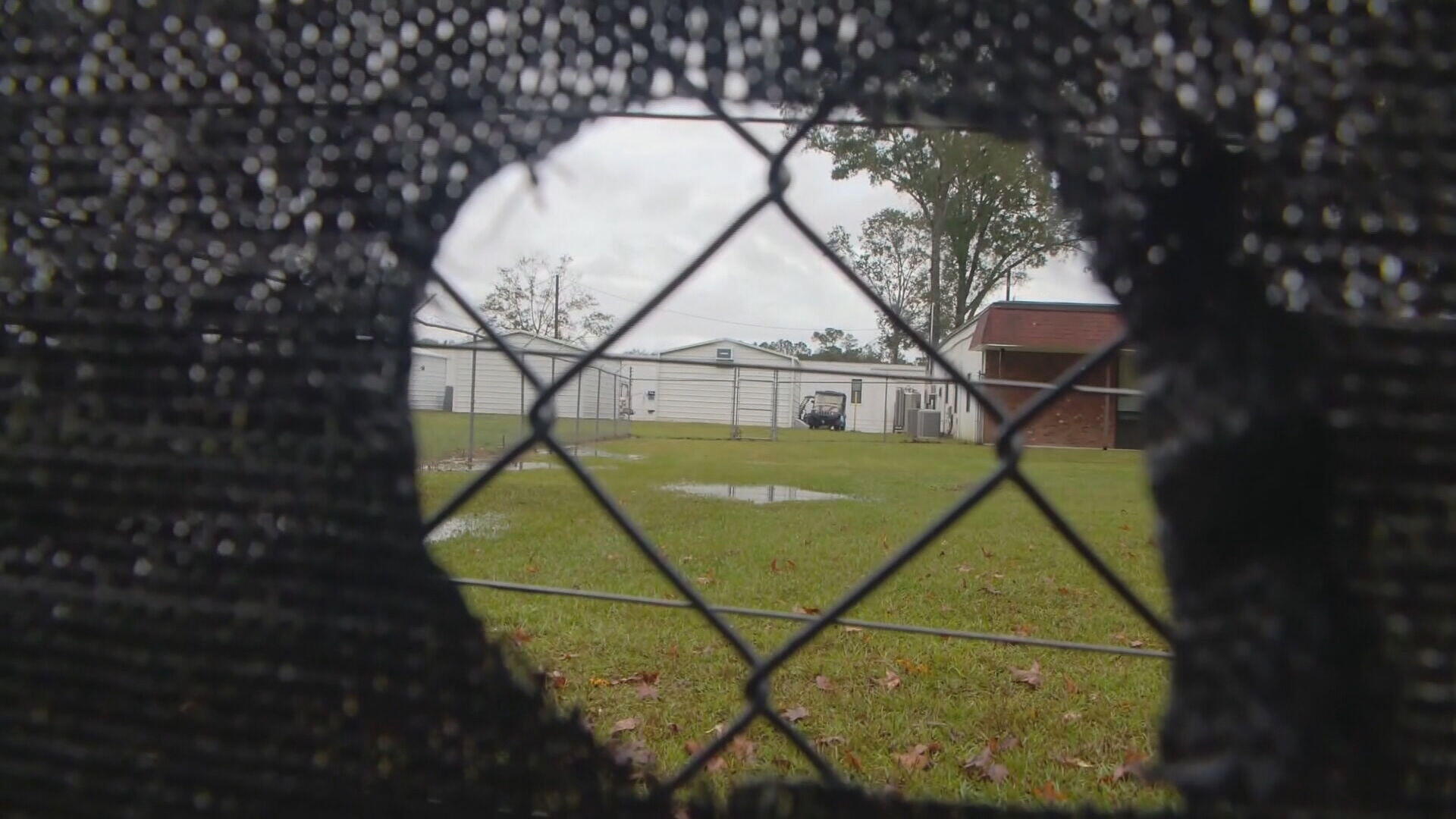 RFK Jr. says he'll work with agencies to wind down animal testing ...