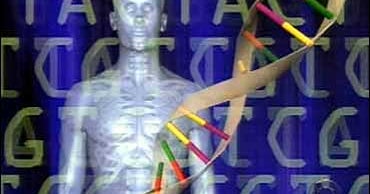 The International 'HapMap' Project - CBS News