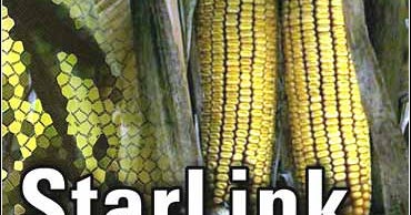 Feds: Starlink In White Corn Chips - CBS News