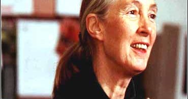 Goodall Champions Chimps - CBS News