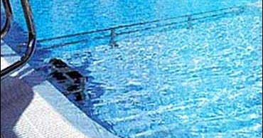 Beware Swimming Pool Shock Attacks - CBS News