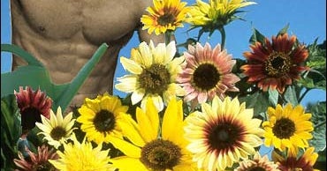 Meet Steve Gough... All Of Him - CBS News