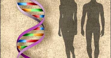 Sexual Equality In Genetic Mutations? - CBS News