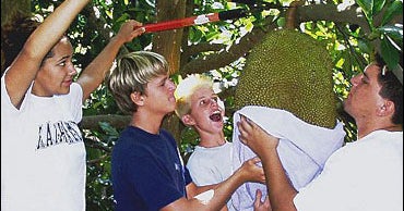 The Odd Truth, Aug. 14, 2003 - CBS News