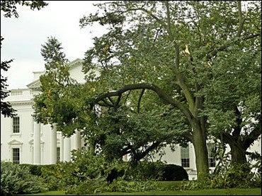 Isabel: Washington, DC