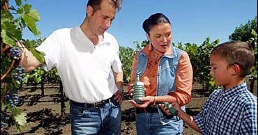 From Mines To Vines - CBS News