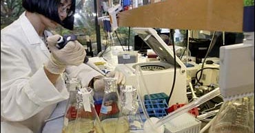 Scramble To Destroy Deadly Flu - CBS News