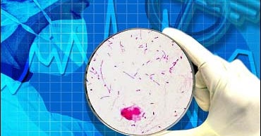 All Killer Flu Samples Found - CBS News