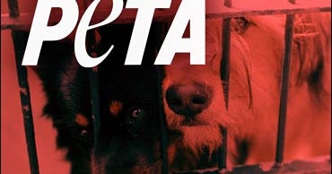 PETA Goes Too Far - CBS News