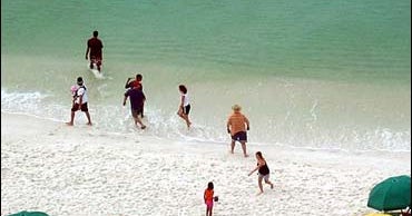 Heroic Shark Attack Rescue Attempt - CBS News