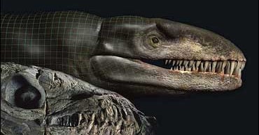 Fossil Evidence of Giant Ancient Fish - CBS News