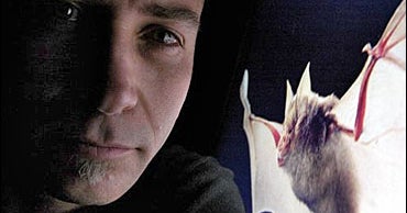 Bat Study Links Breeding & Brain Size - CBS News