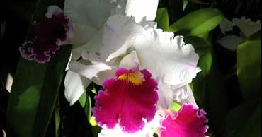 Shuttle Launch On Target - CBS News