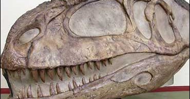Huge, Meat-Eating Dinosaur Discoveries - CBS News