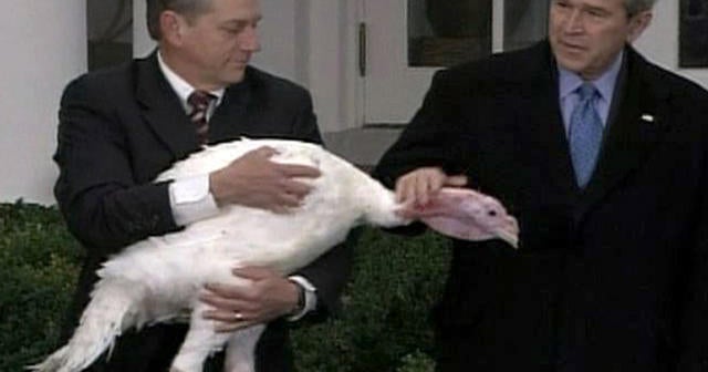 President Bush Pardons A Real Turkey - CBS News