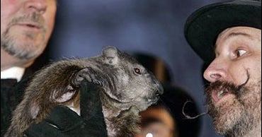 The Groundhog Makes His Call - CBS News