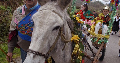 The Colonel's Wife - CBS News