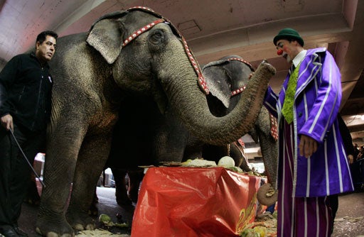 End of an era for Ringling Brothers circus elephants