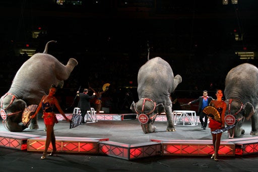 End of an era for Ringling Brothers circus elephants