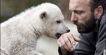 Move Over Knut, Here Comes A Baby Hippo - CBS News