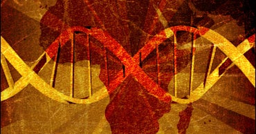 Is Human Evolution Speeding Up? - CBS News