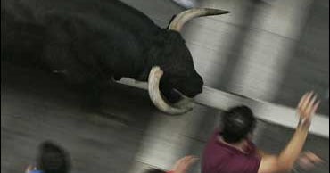 Bull Run Racks Up More Injuries - CBS News