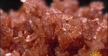 The History Of Salt, In A Pinch - CBS News