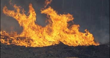 Australia's Worst-Ever Wildfires Kill 130 - CBS News