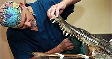 Miami's "Robo-Croc" - CBS News
