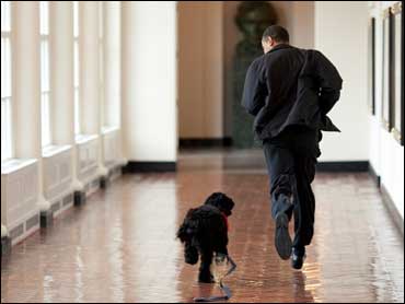 Obama family announces death of family dog Bo, the "loyal companion ...