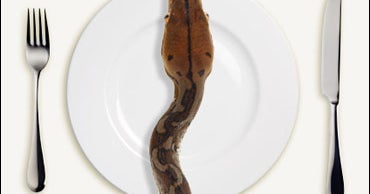 Case Of Snake Head In Broccoli Stumps Cops - CBS News