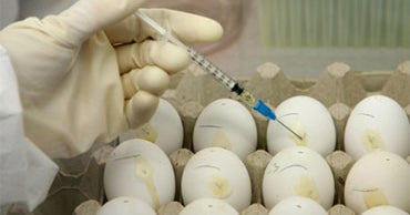 Antiquated Process Delays H1N1 Vaccines - CBS News