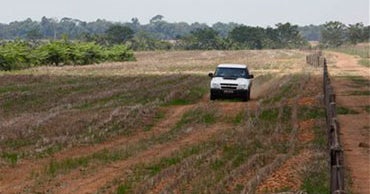 Race is on to Save Amazon Rainforest - CBS News