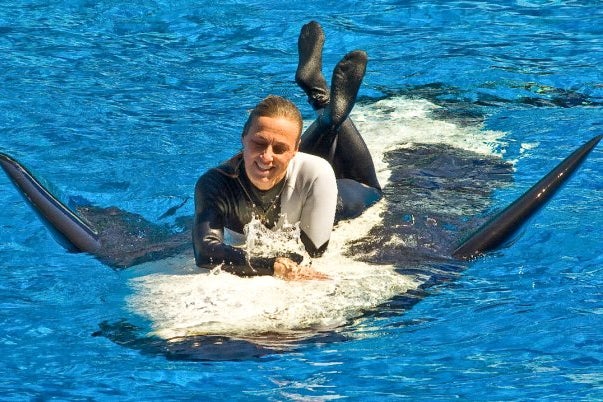 Dawn Brancheau SeaWorld Trainer Killed