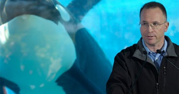SeaWorld: The Show Must Go On - CBS News