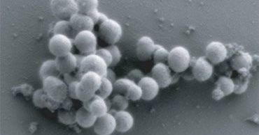 Scientists Make Synthetic Cell With Manmade DNA - CBS News