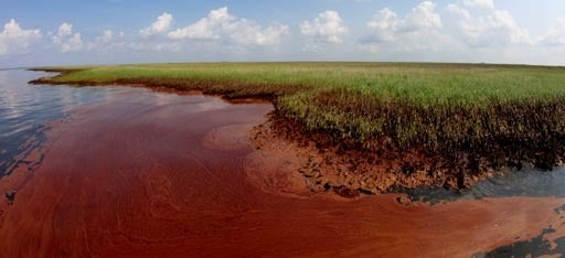 Oil Spill: 100 Days, 100 Photos