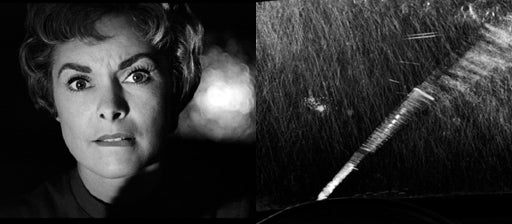 Alfred Hitchcock's "Psycho"