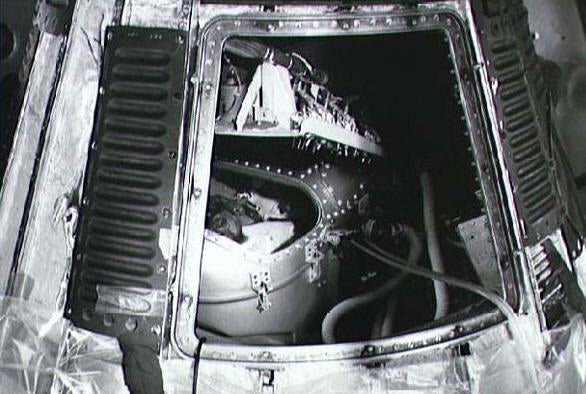 The Legacy of Ham, the Astrochimp