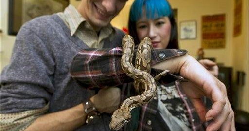 Snake Missing For A Month Found On Boston Subway - CBS News