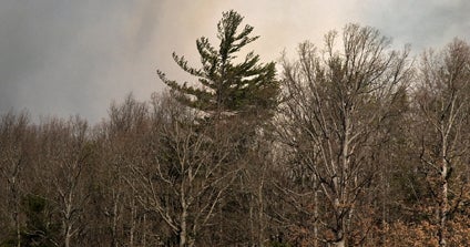 Windy, dry conditions lead to dozens of fires - CBS News