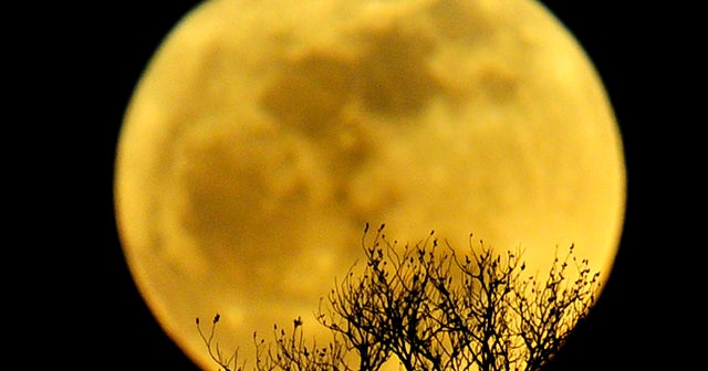 Spectacular moon on display