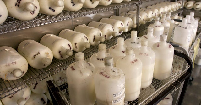 Low radiation levels found in WA state milk - CBS News