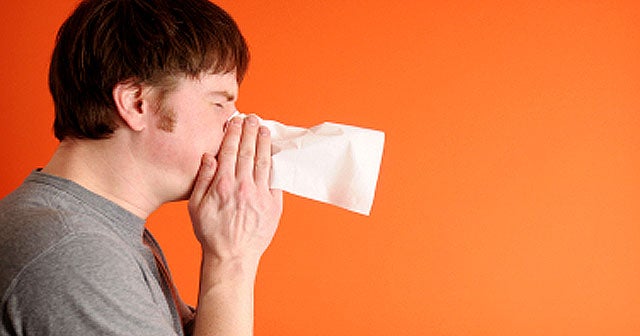 Allergy misery: 12 worst cities this fall