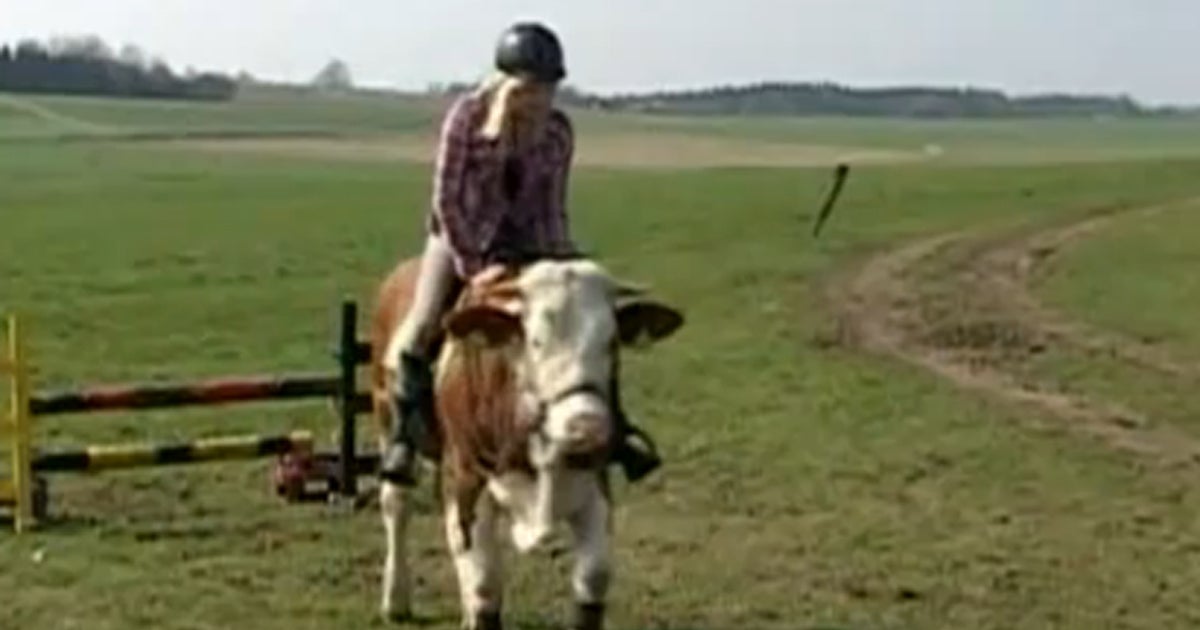 15-year-old Regina Mayer and her jumping cow "Luna" make headlines in ...