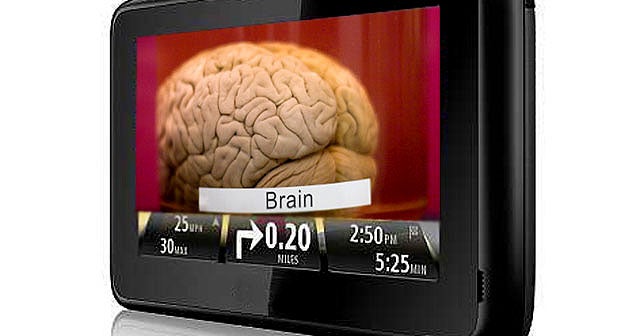 GPS for the brain? New brain atlas wows scientists