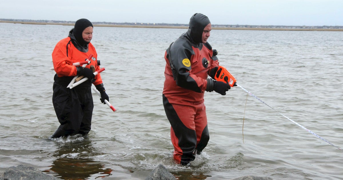 Profile of potential L.I. serial killer released - CBS News