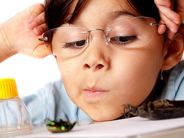 Autism-spectrum disorders: 24 warning signs